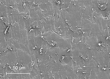 HENIAPORE™-K VPS-TITANIUM COATING ON PEEK SUBSTRATE FOR MEDICAL DEVICES